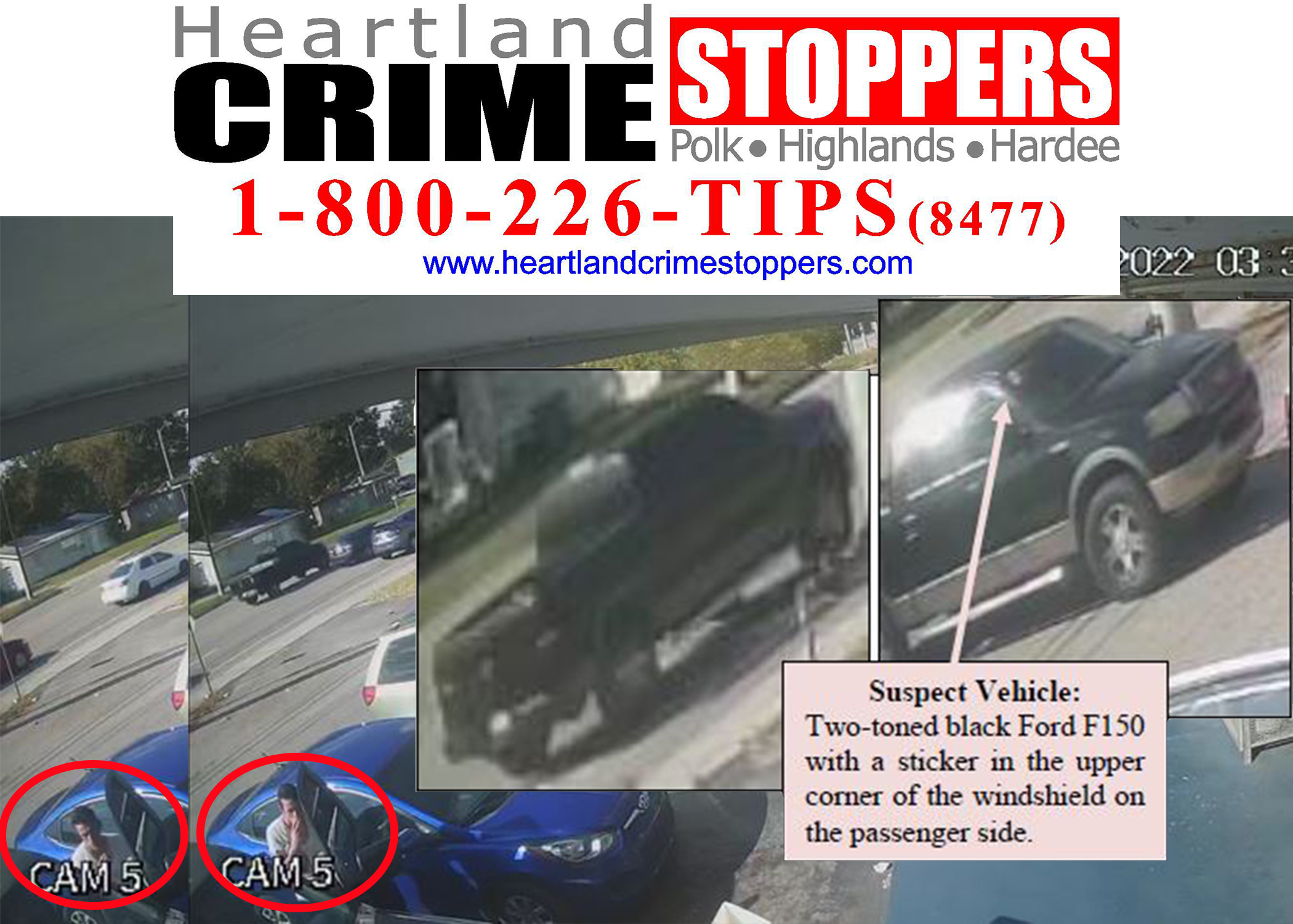 Auburndale: Vehicle Burglary